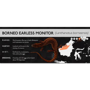 Vivarium Labels for Reptile, Amphibian, and Invertebrate Hobbyists ...