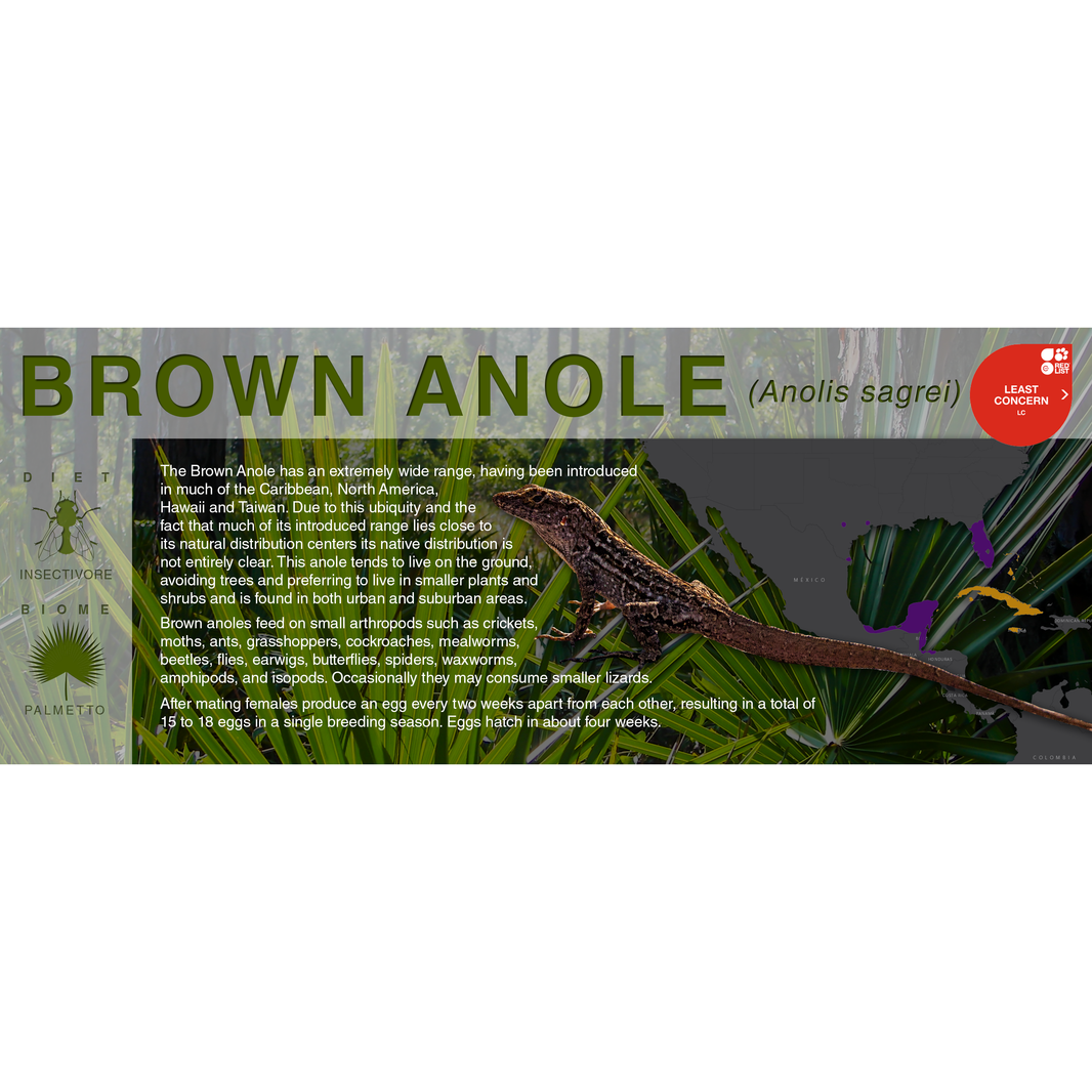 Vivarium Labels for Reptile, Amphibian, and Invertebrate Hobbyists ...