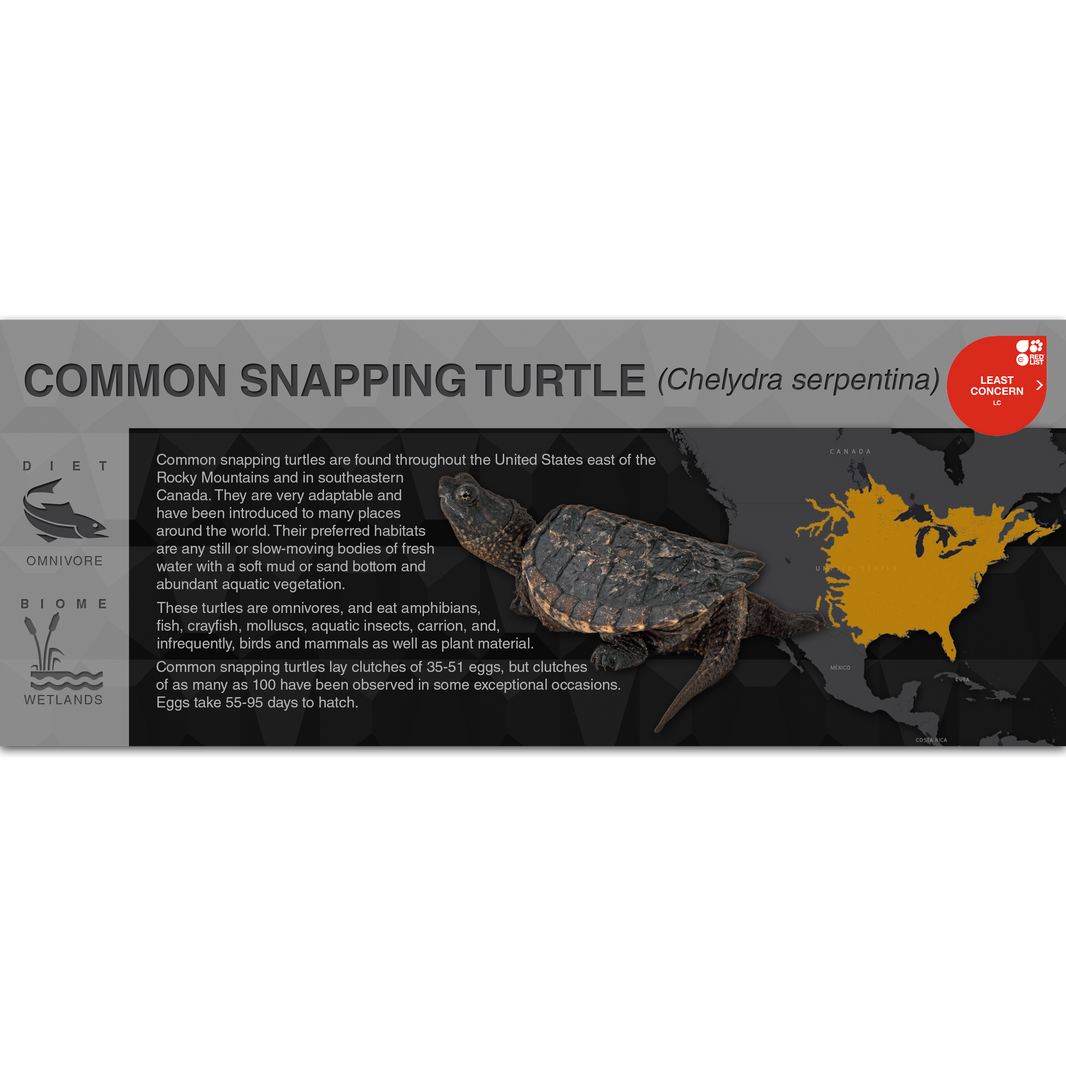 Vivarium Labels for Reptile, Amphibian, and Invertebrate Hobbyists ...