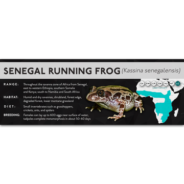 Vivarium Labels for Reptile, Amphibian, and Invertebrate Hobbyists ...