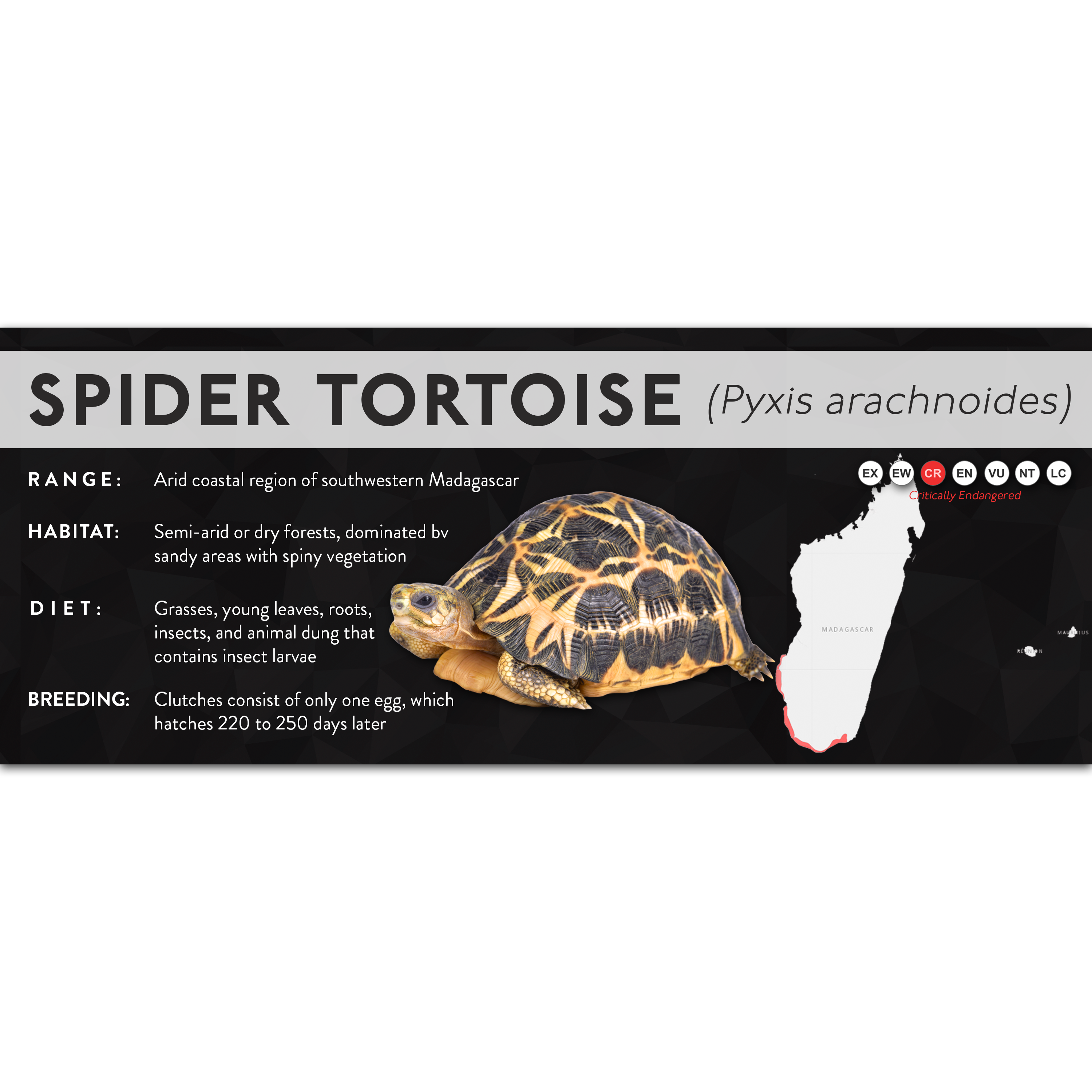 Vivarium Labels for Reptile, Amphibian, and Invertebrate Hobbyists ...